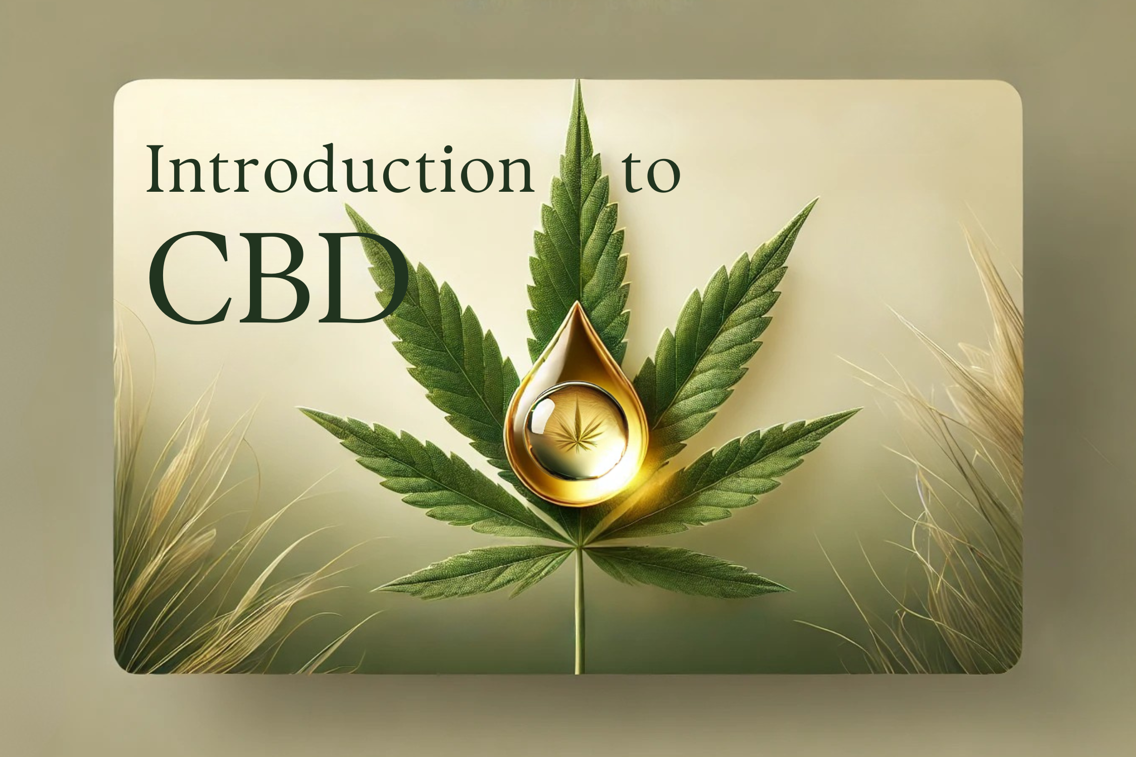 Introduction to CBD: Benefits, Uses, & How It Works in the Body – BOHECO